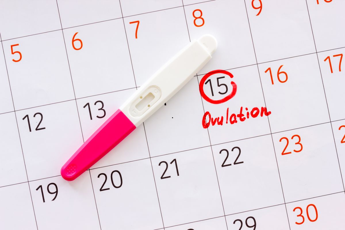 5 Signs of Ovulation Without a Period